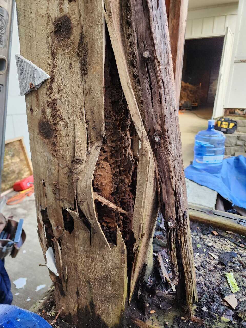 Rot Repair Expert • Seattle Rot Repair Pros | General Contractor